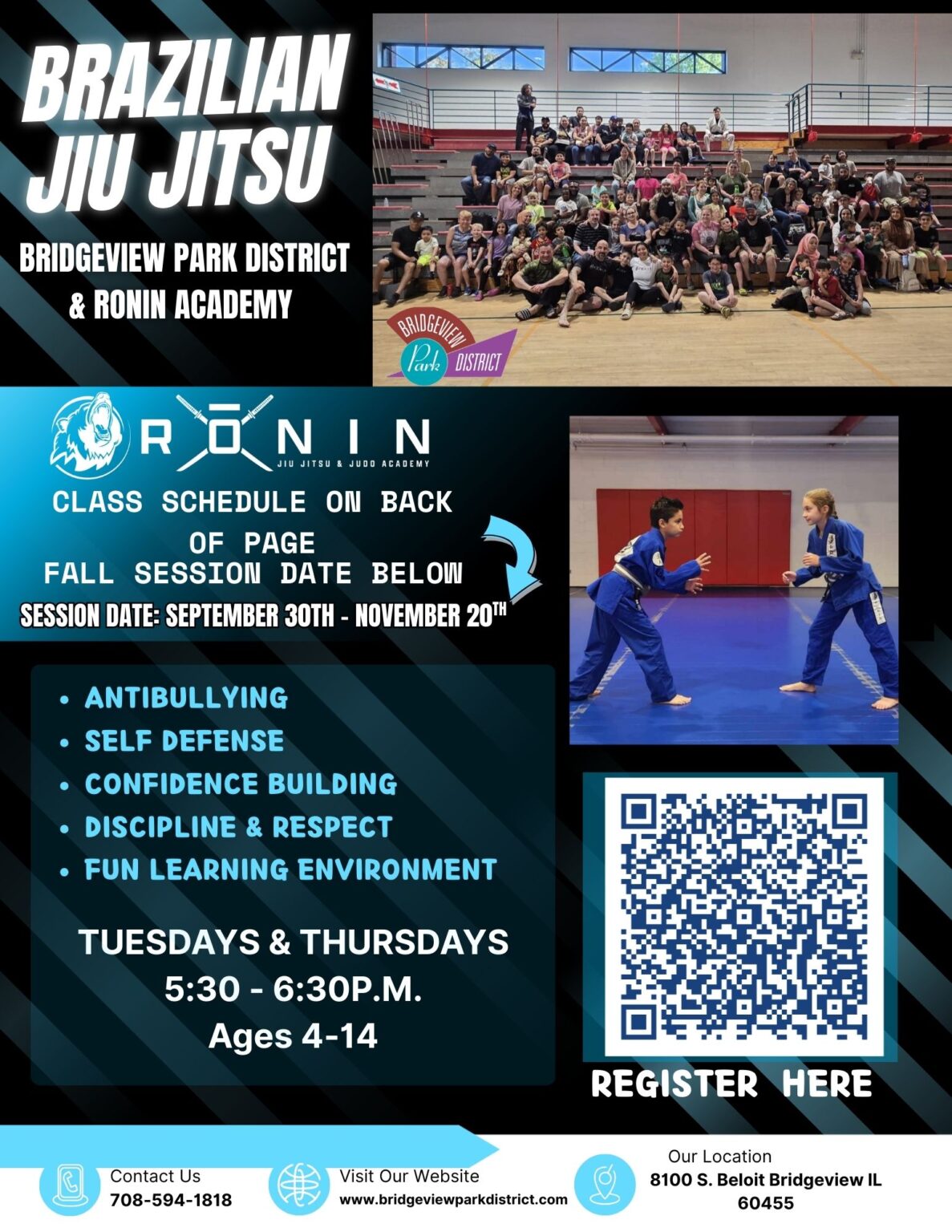 Bridgeview Park District